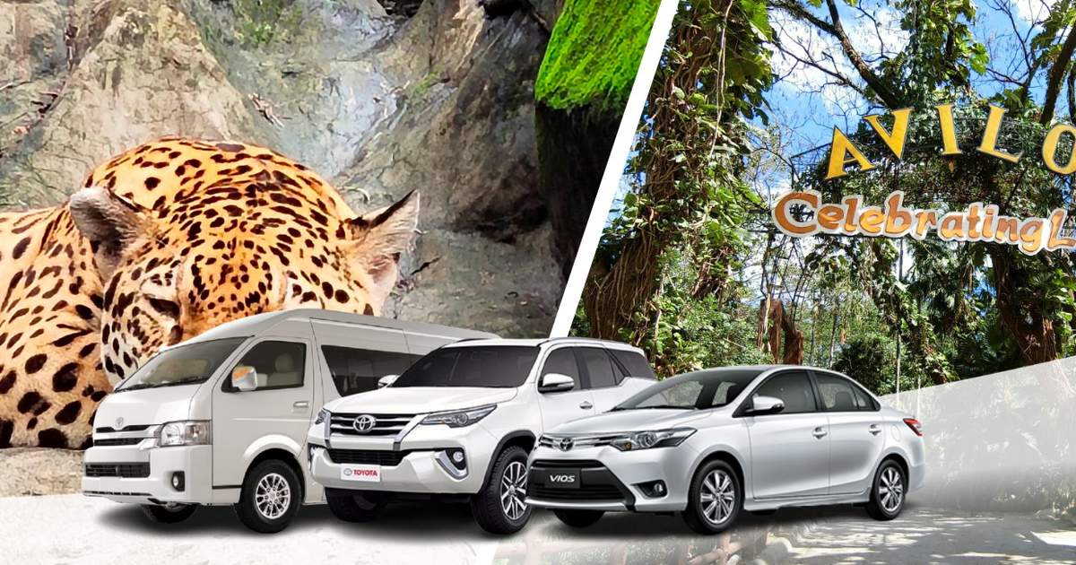 Noah's Park & Avilon Zoo Roundtrip Transfers - Klook